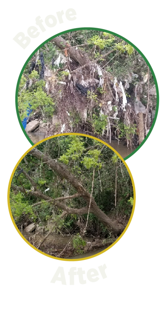 Clean and Green | American Youthworks