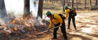 Crew Types | American Youthworks